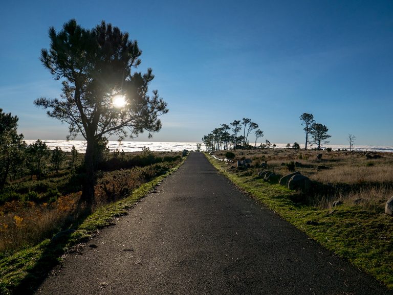 SUMMER & SUN – Photography Competition Winners Announced