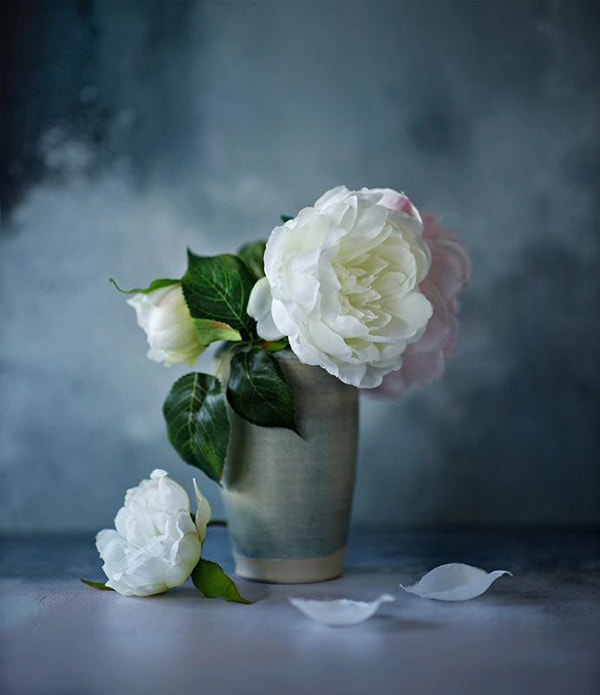 🌸 Flower Photography Masterclass with Polina Plotnikova